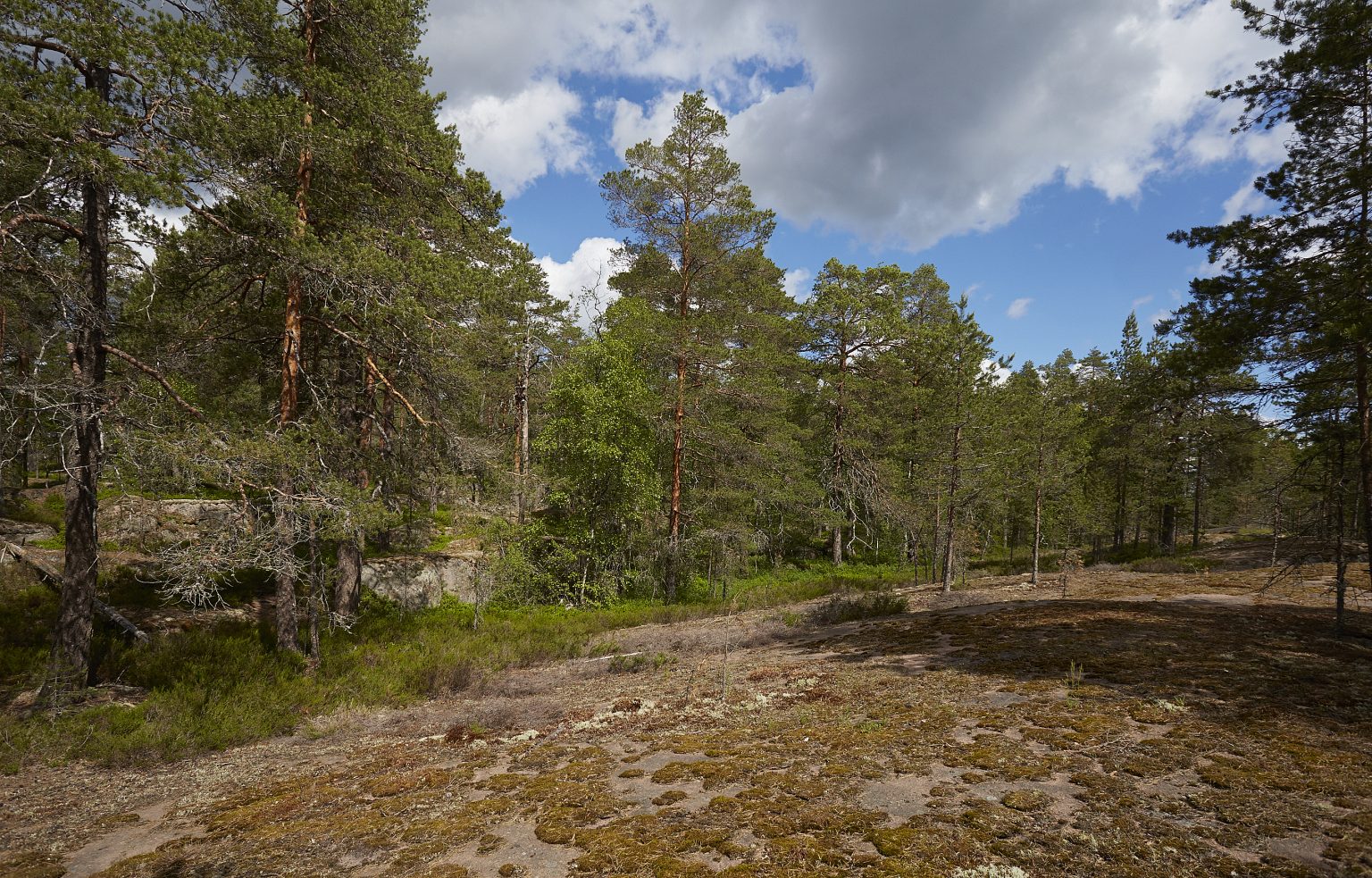 Veikkola.info – Veikkola.info